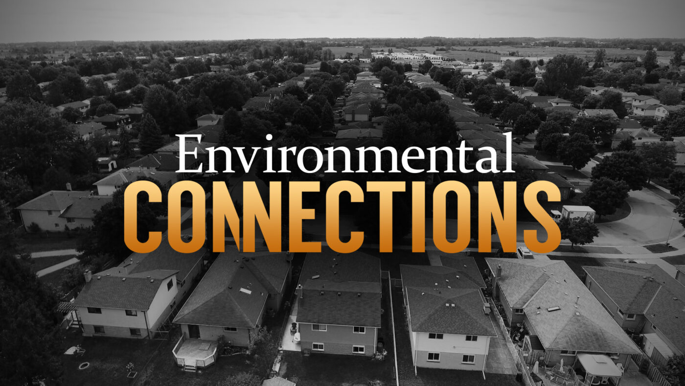 Environmental Connections • Fridays at 8:30 p.m. and Sundays at 11 a.m ...