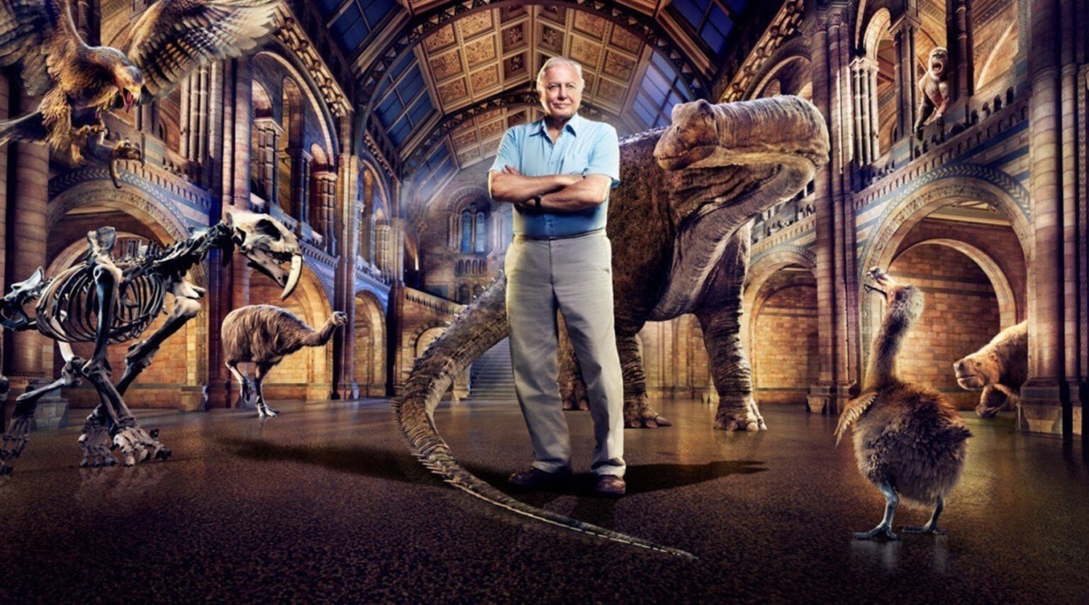 Nature "Museum Alive with David Attenborough" • WXXI-TV - WXXI